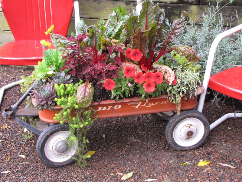 10 Fascinating And Unique Ideas For Portable Gardens