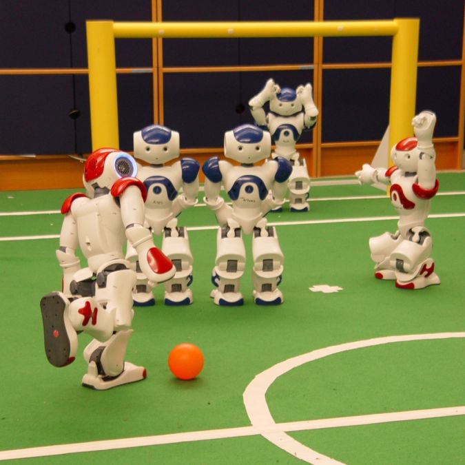 What Can Humanoid Robots Do?!