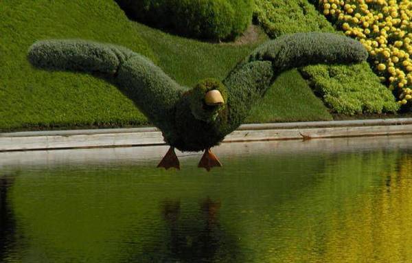 23 Remarkable Grass Sculptures