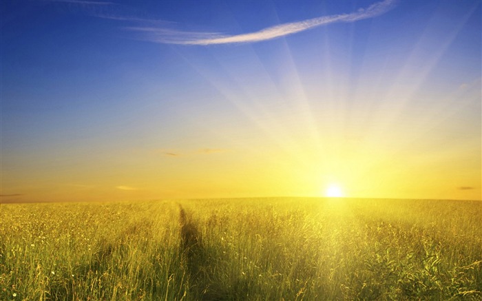 Basic Information And Facts About The Sun