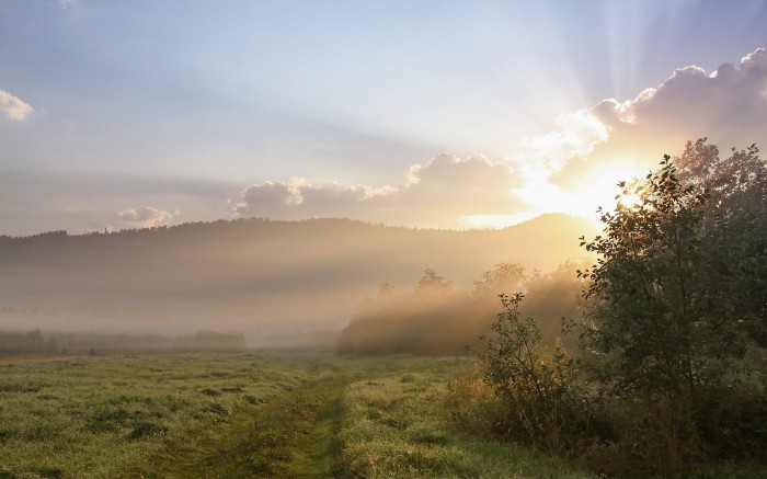 Basic Information And Facts About The Sun