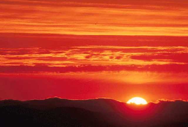 Basic Information And Facts About The Sun