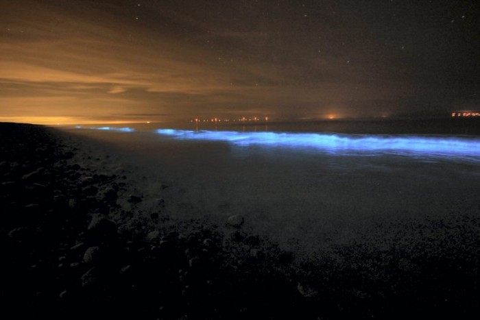 Magnificent And Breathtaking Blue Waves That Glow At Night