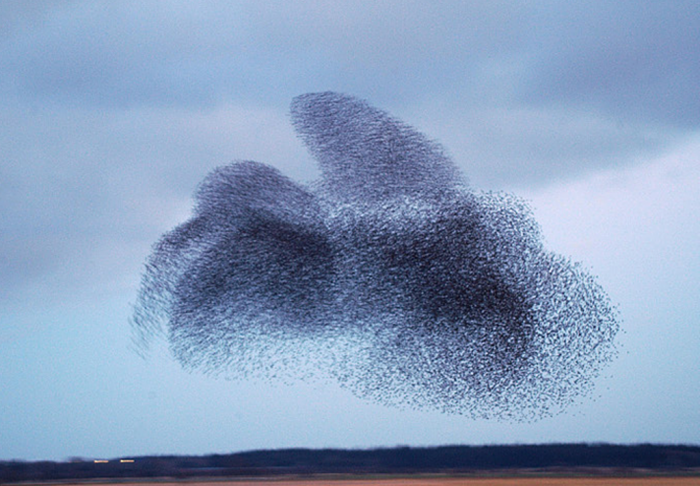 The Sun Turns Suddenly Into Black, Do You Believe It?