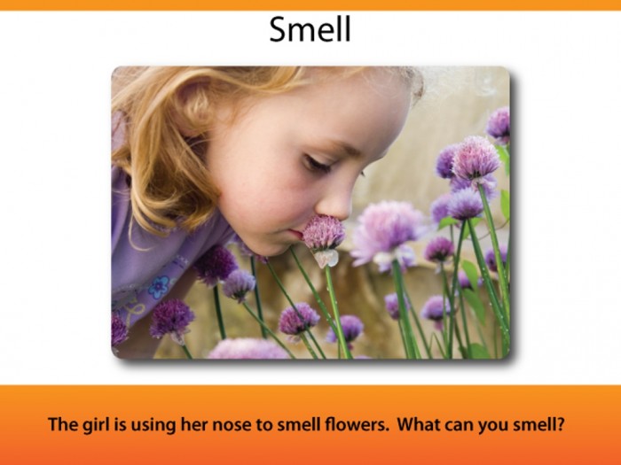 Do You Know How To Train Your Child To Use The Five Senses?