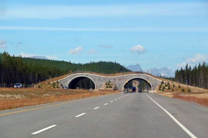 Have You Ever Seen Breathtaking & Weird Bridges Like These Before?