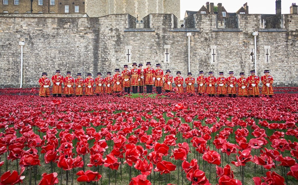 888,246 Breathtaking Poppies Make the Tower of London More Stunning ...