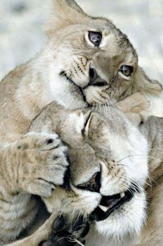 78+ Heart-touching Photos of Mothers and Their Babies