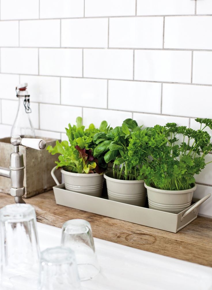 Great Ways To Make Your Dream Green Kitchen