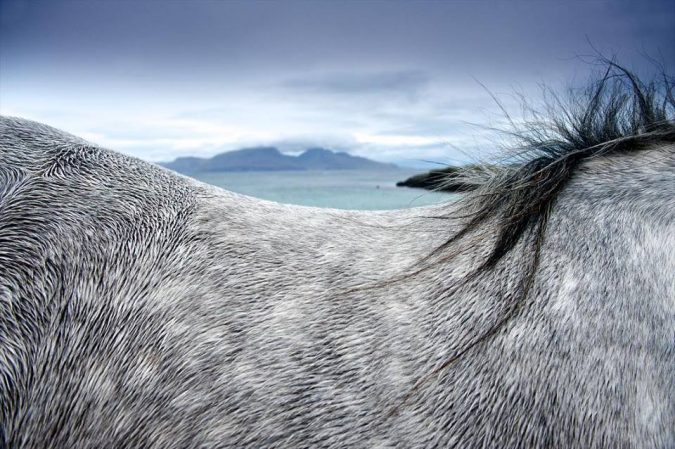 Top 10 Best Motion Photographers in the World 2020 | Pouted.com