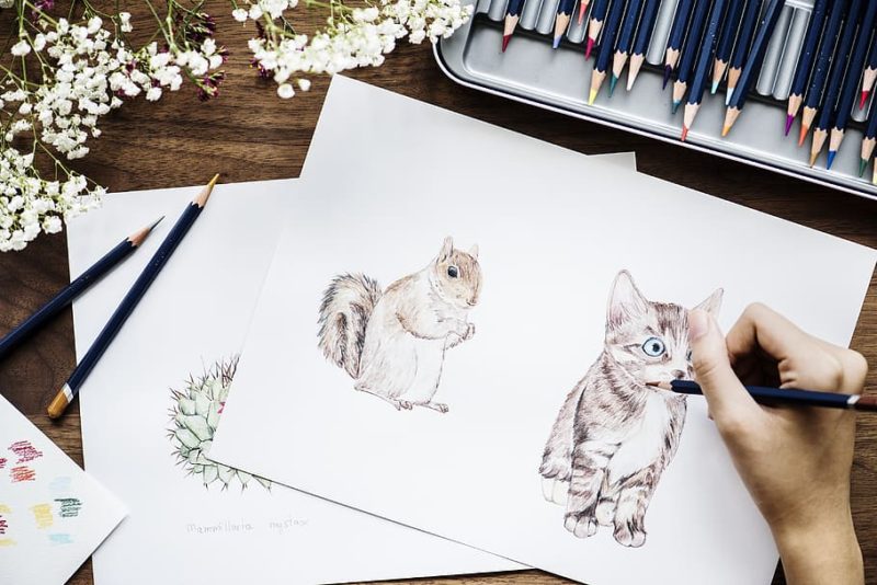 7 Tips To Draw Cute Animals