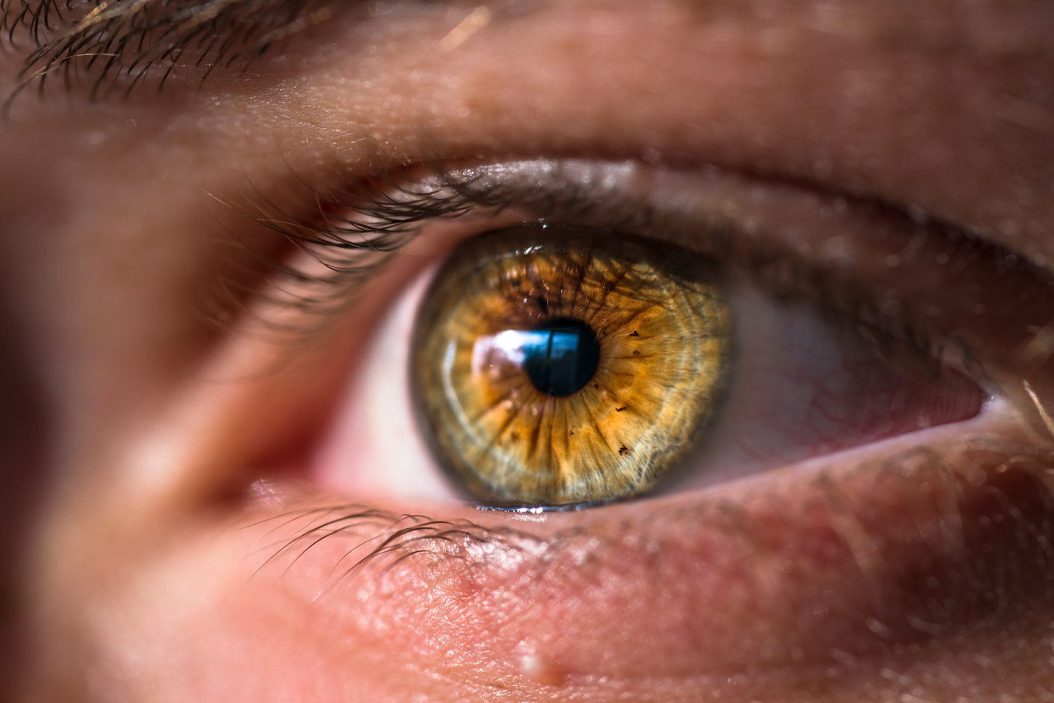 7 Rarest And Unusual Eye Colors That Looks Unreal