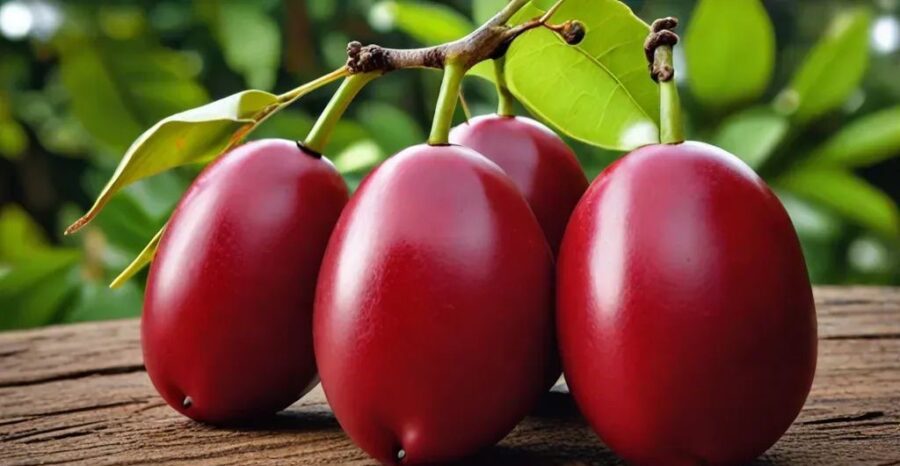 The Miracle Fruit: Top 7 You Need To Know About Miracle Berries